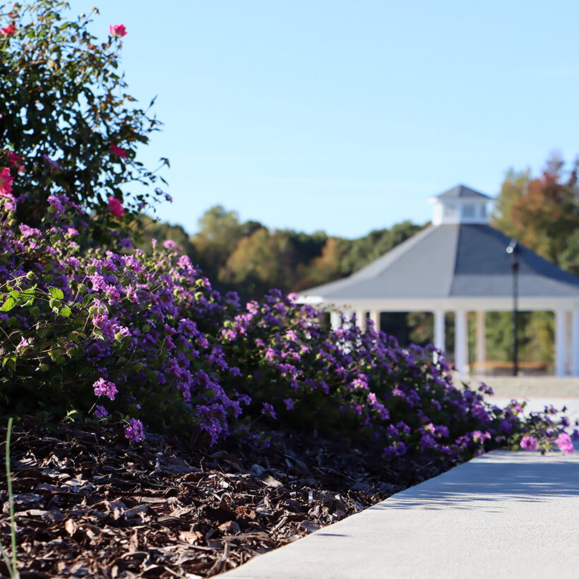 Town Park | Town of Midway, NC